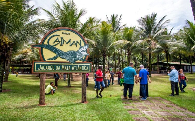 Projeto Caiman, vale a pena conhecer! - PAUTA 1